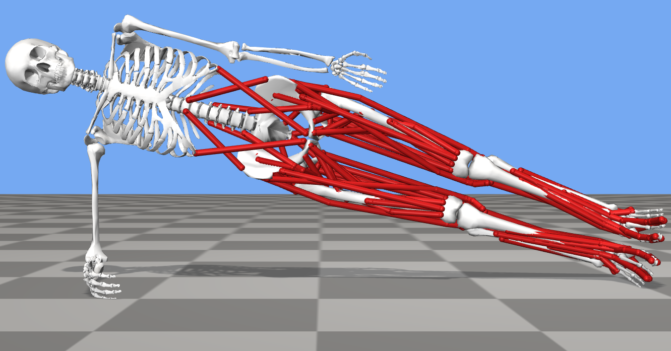 Cycling Core Exercises - 10% Faster in 4 Weeks | Biomechanics Zone